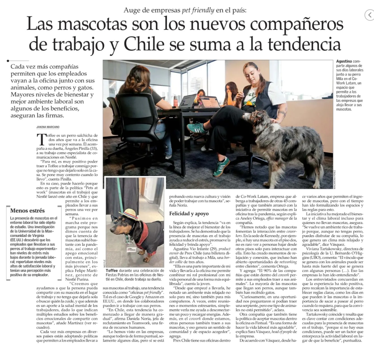 Las mascotas son los nuevos compañeros de trabajo y Chile se suma a la ...
